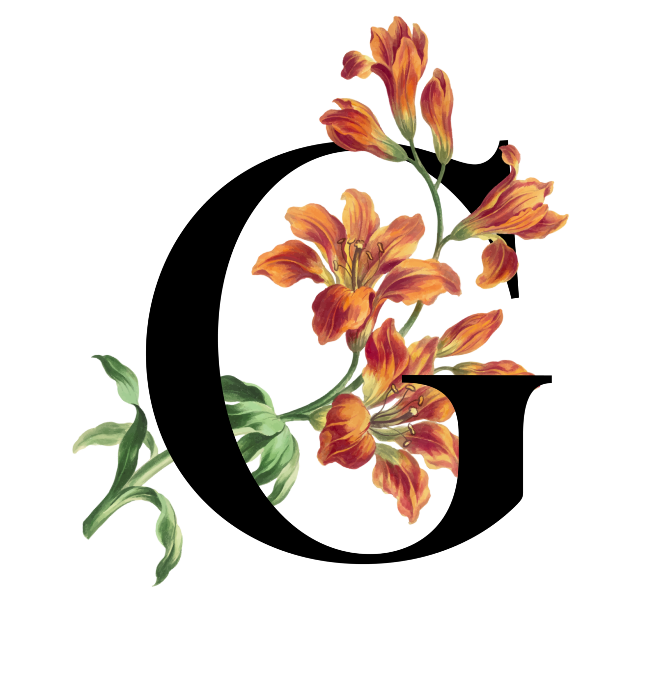 Creepy studio – Nový e-shop a nové možnosti růstu pro Green Butik